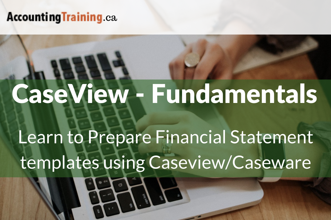 CaseView - Financial Statement Training/Templates